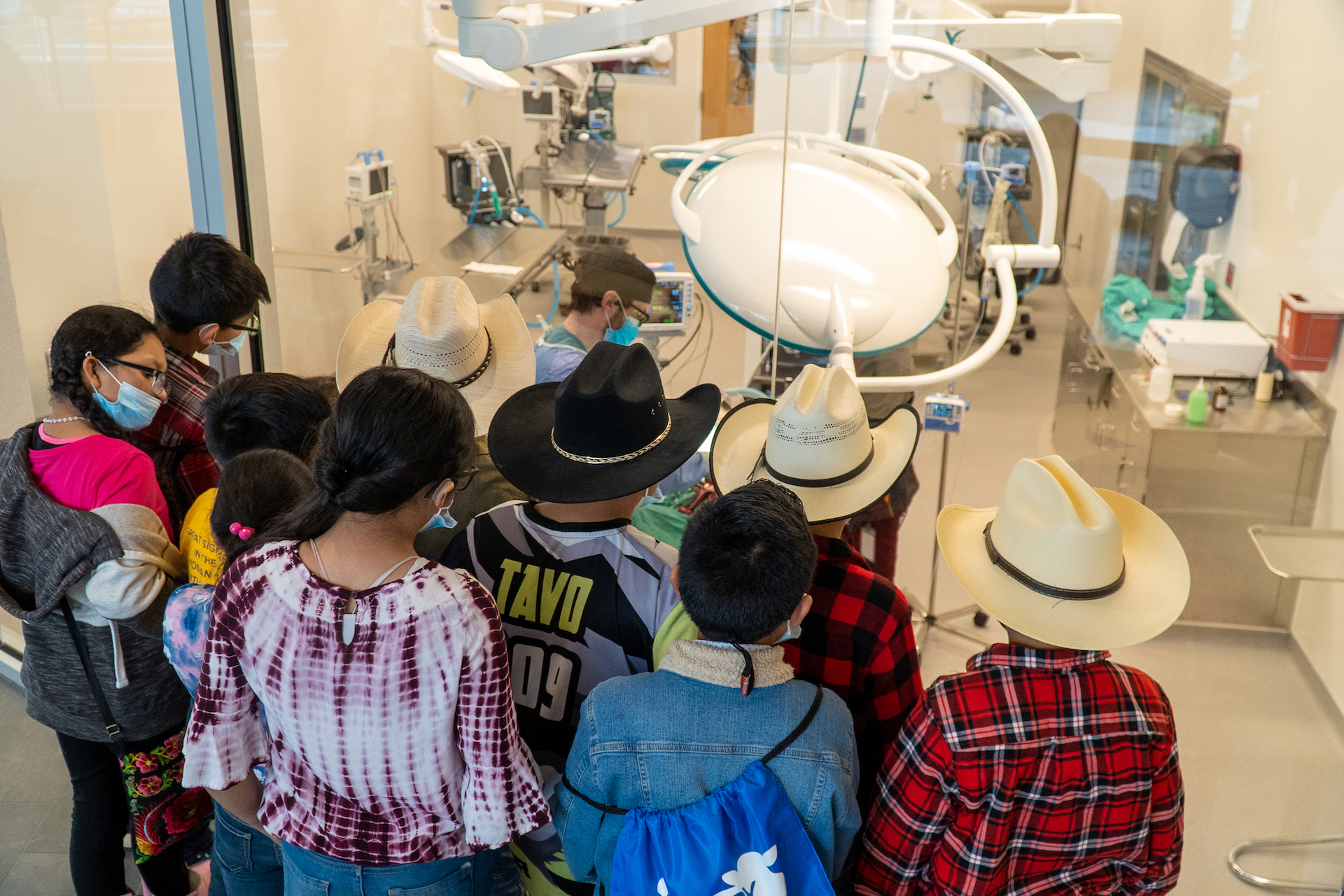 CSU Spur at the Stock Show | CSU Spur