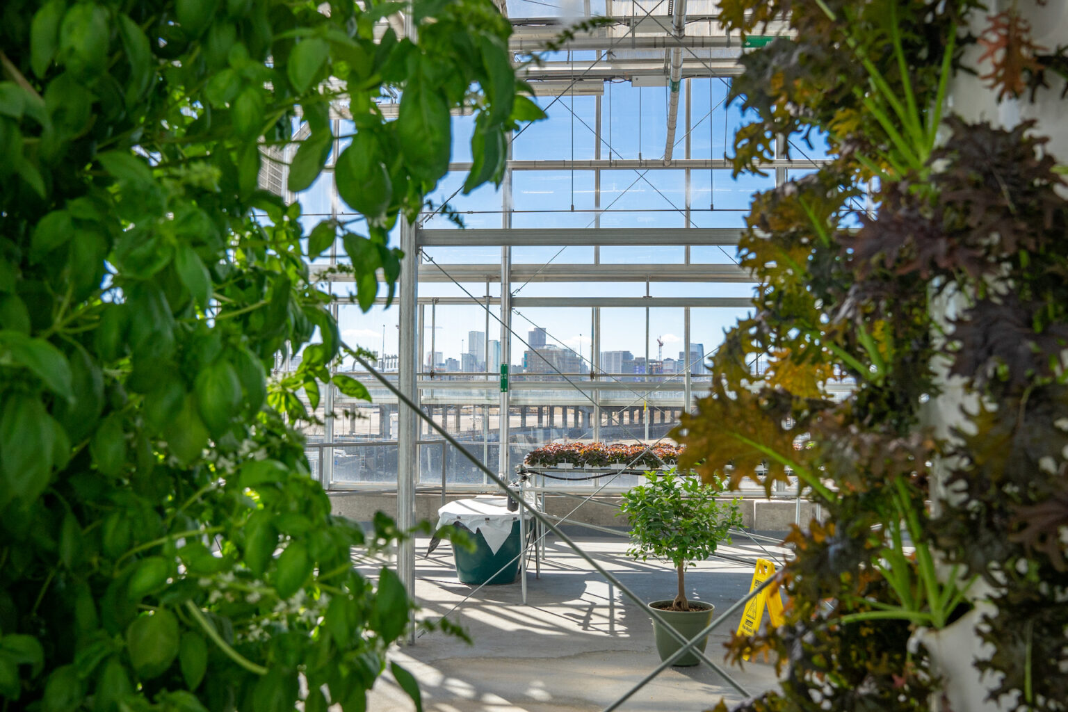 Colorado GROW Youth Institute | CSU Spur