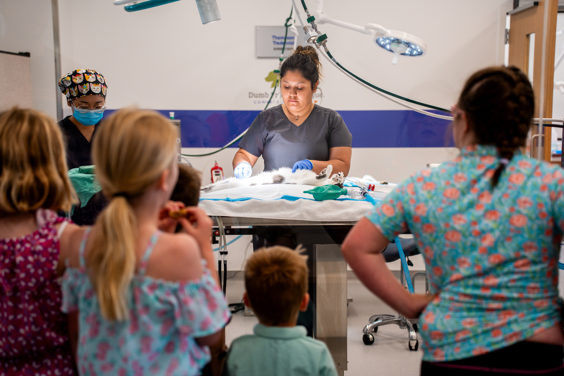 Plan Your Visit | CSU Spur